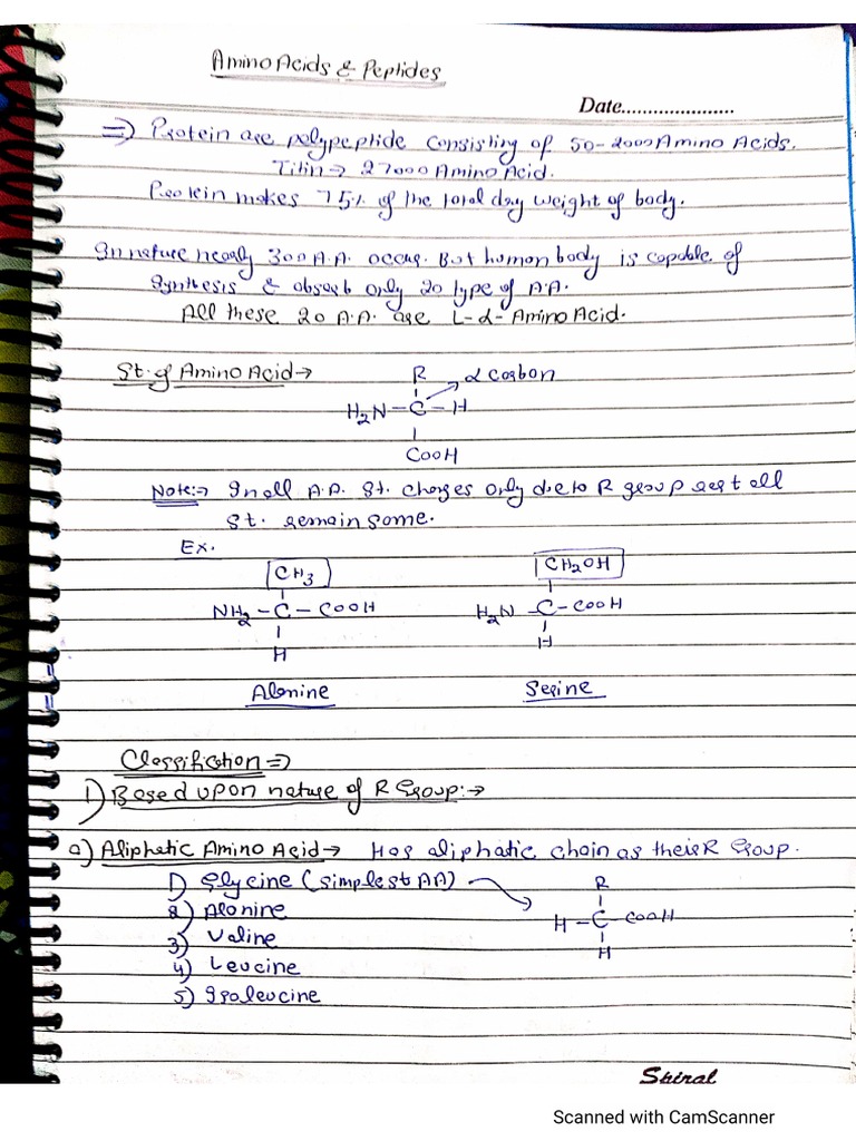Amino Acid Notes | PDF