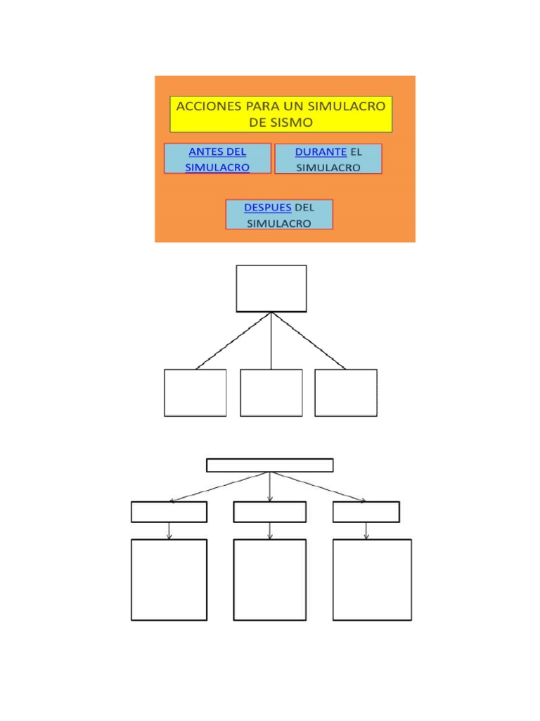 Organizador Grafico | PDF