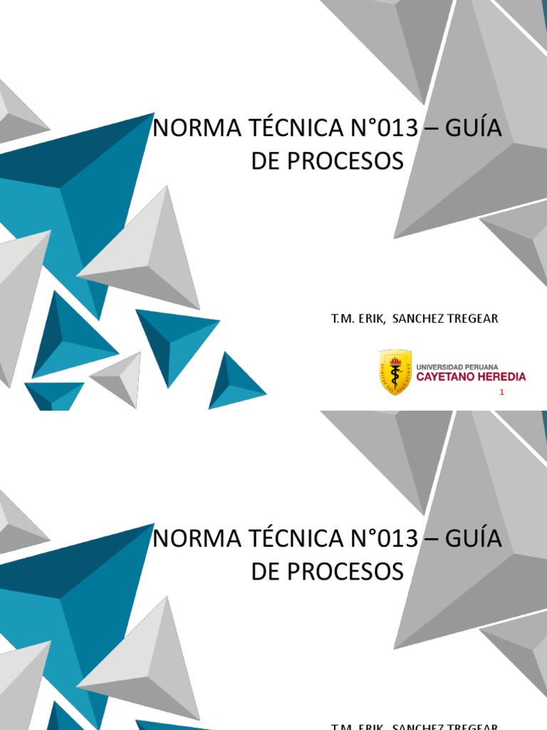 Norma Técnica 013 - Guia de Procesos | PDF | Planificación