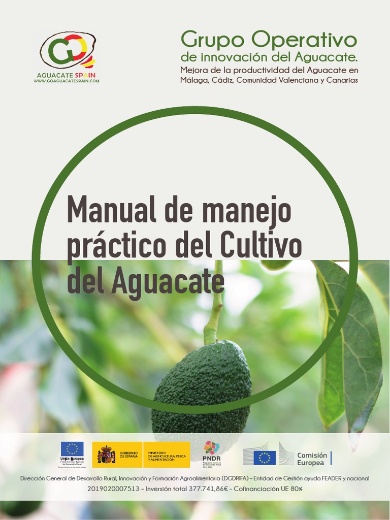Manual de Manejo Practico Del Cultivo Del Aguacate Compressed1 | PDF | Agricultura | Fertilizante