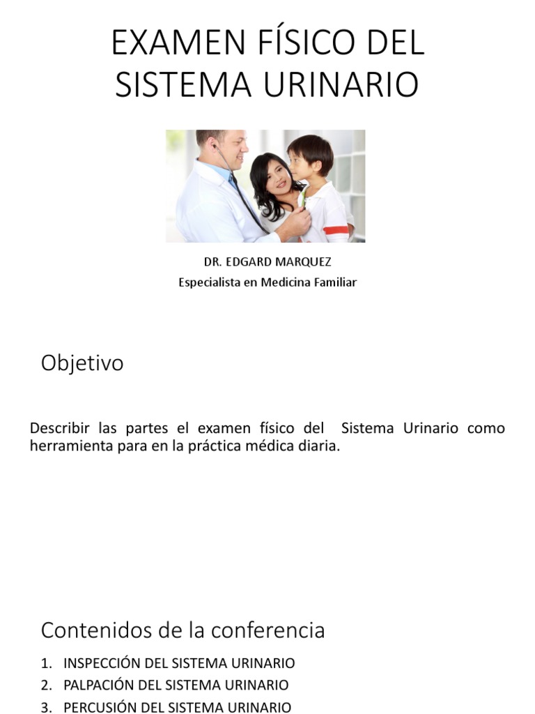 12 Examen Físico Del Sistema Urinario | PDF | Mano | Examen físico