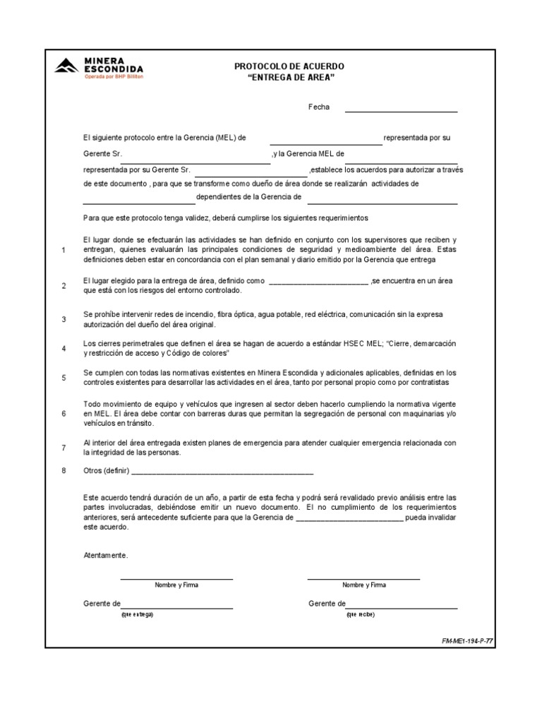 MEL FORM Protocolo Entrega de Area | PDF