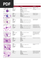 BFM 2000 Treatment Schema | PDF | Hematopoietic Stem Cell ...