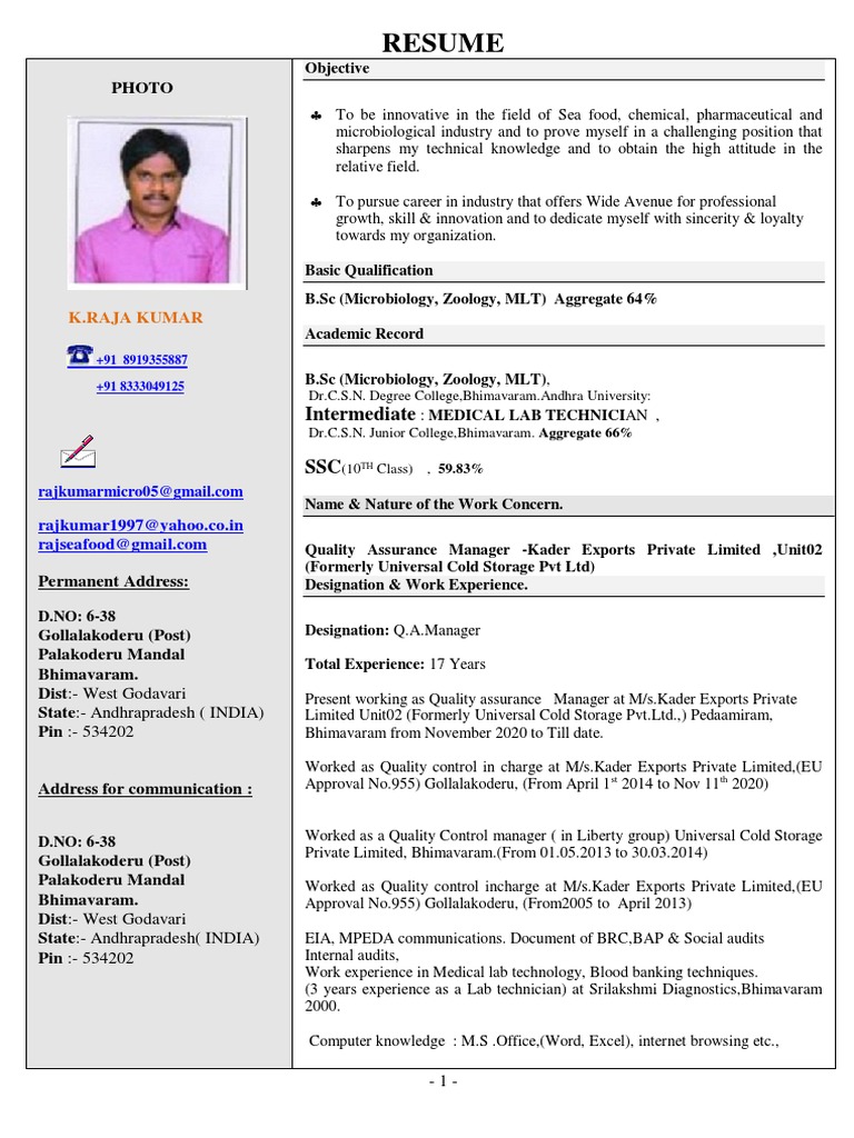 Resume: Intermediate | PDF