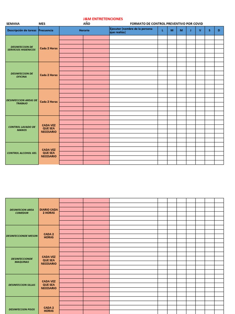 Formato Control Excel | PDF