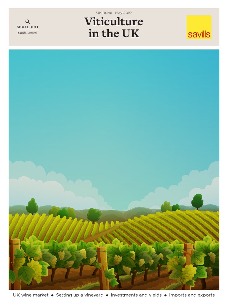 Spotlight Viticulture in The Uk | PDF | Wine | Viticulture