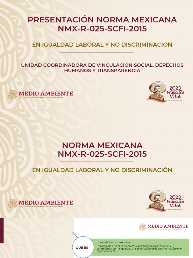 Pasos para Certificación STPS - Nmx-R-025-Scfi-2015 | PDF | Igualdad de género | Estudios de género