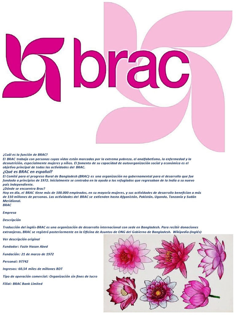 Cuál Es La Función de BRAC | PDF
