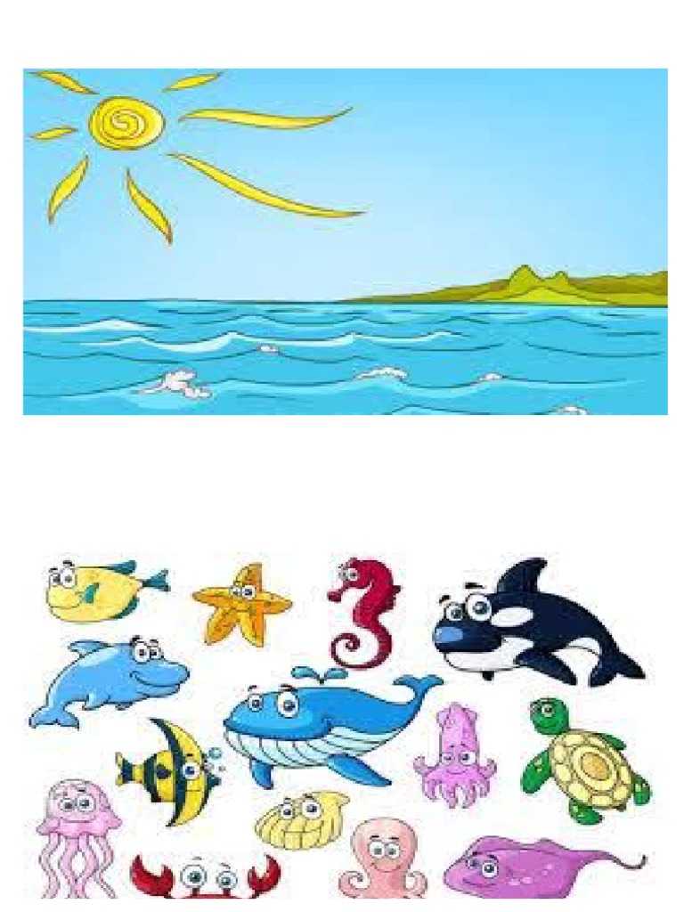 Imagenes Del Mar | PDF