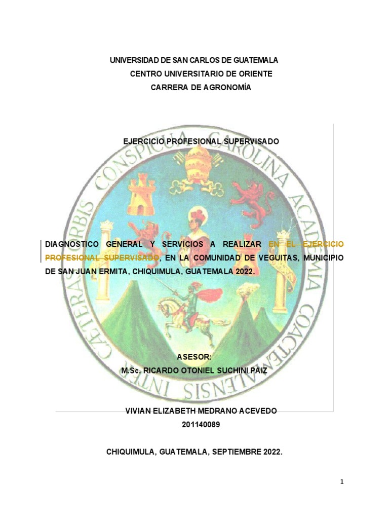 Diagnostico y Plan de Servicios. Vivian Medrano Corregido 2 | PDF ...