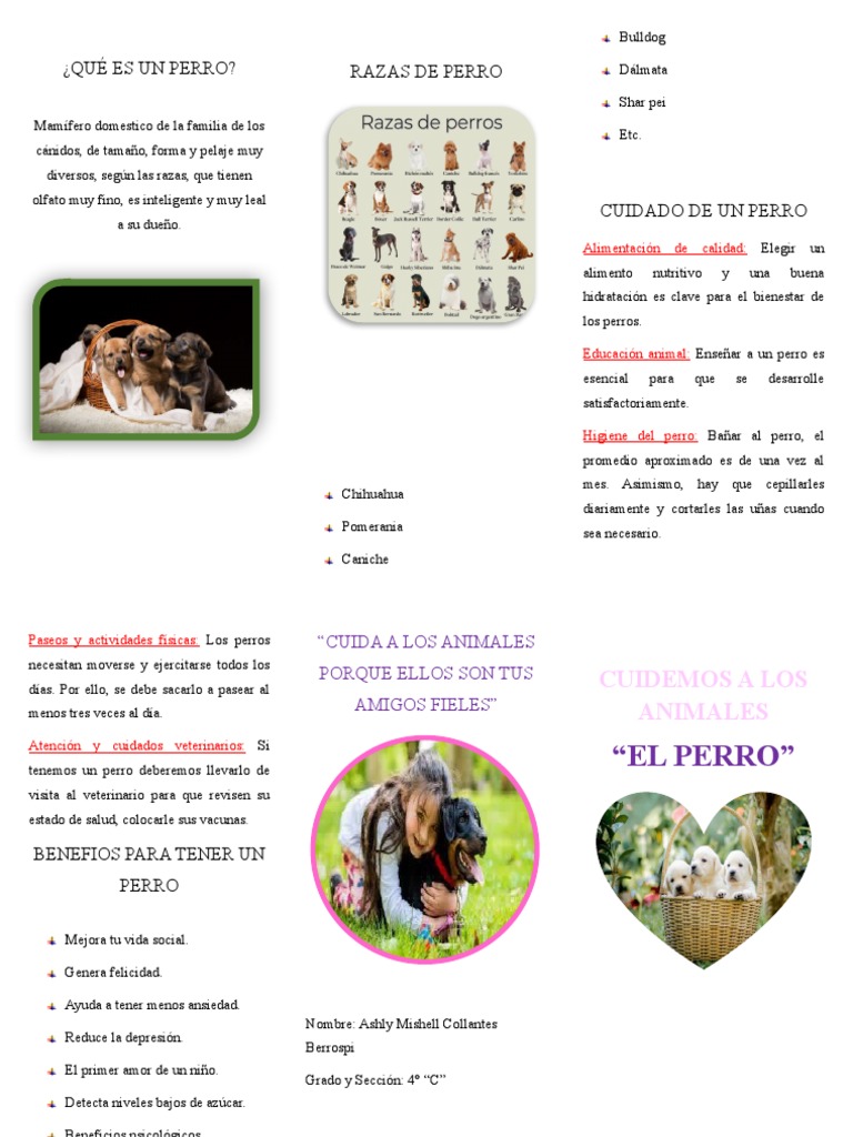 Triptico El Perro | PDF | Buldog | Perros