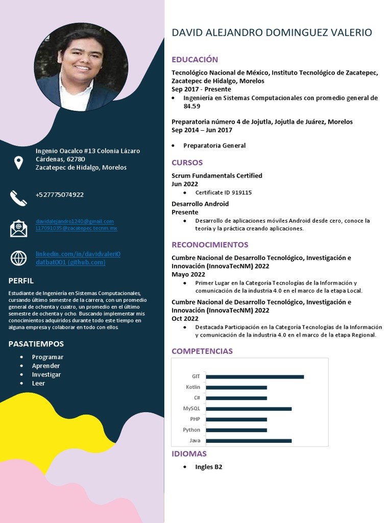 CV - David Alejandro Dominguez Valerio | PDF | Negocios | Informática