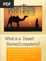 Transcripts - Forever Dreaming - 01x05 - Deserts - Planet Earth I | PDF ...