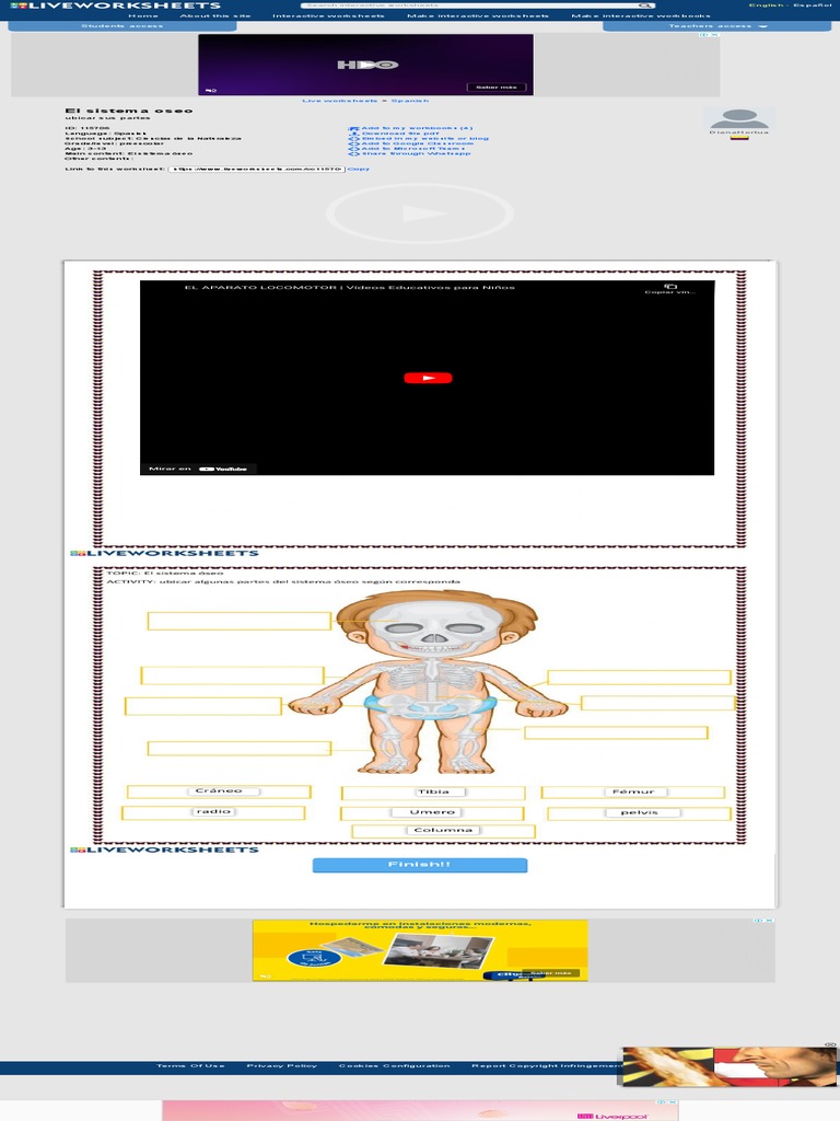 El Sistema Oseo Worksheet | PDF
