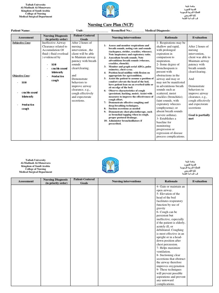 3 NCP Form (1) (5).docareway noor.doc copy | PDF | Cough | Respiration