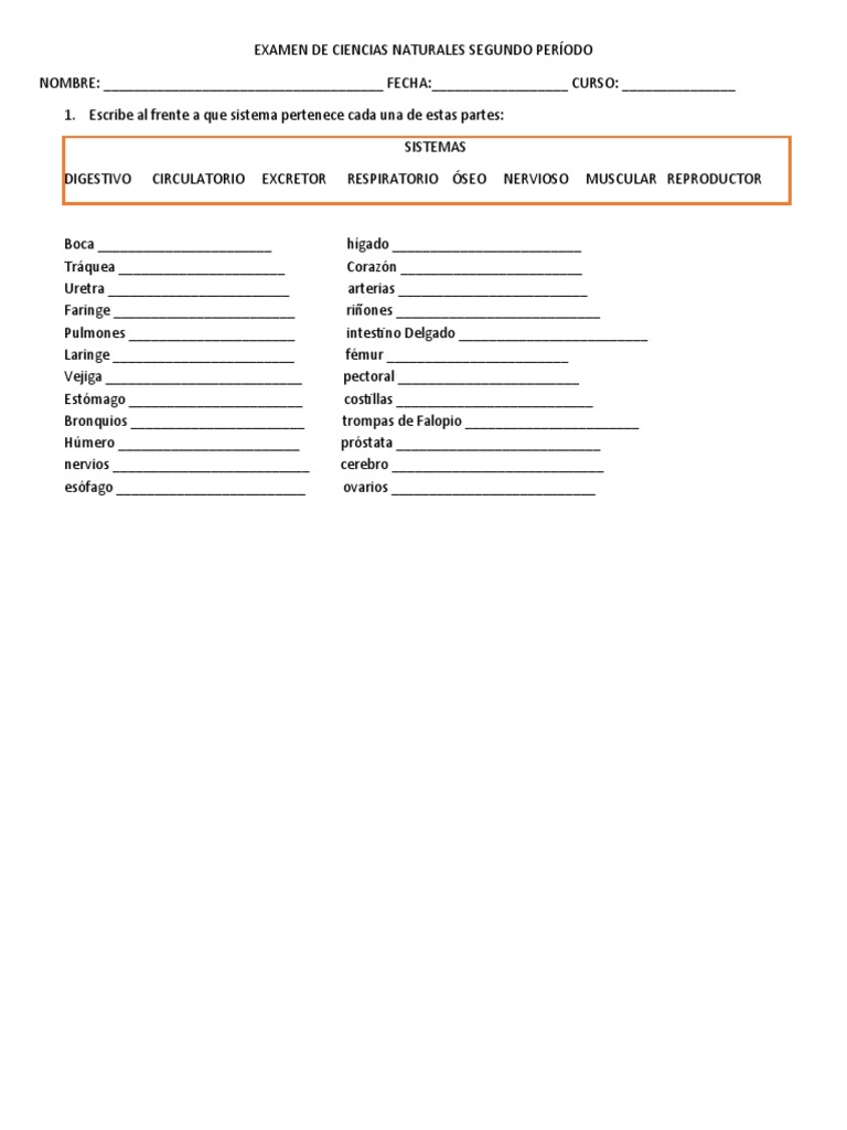Examen de Ciencias Naturales Segundo Período | PDF