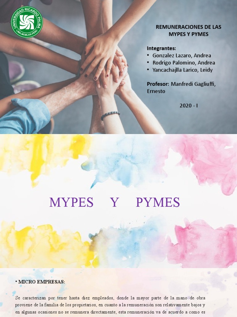 Mypes y Pymes | PDF | Pequeñas y medianas empresas | Salario