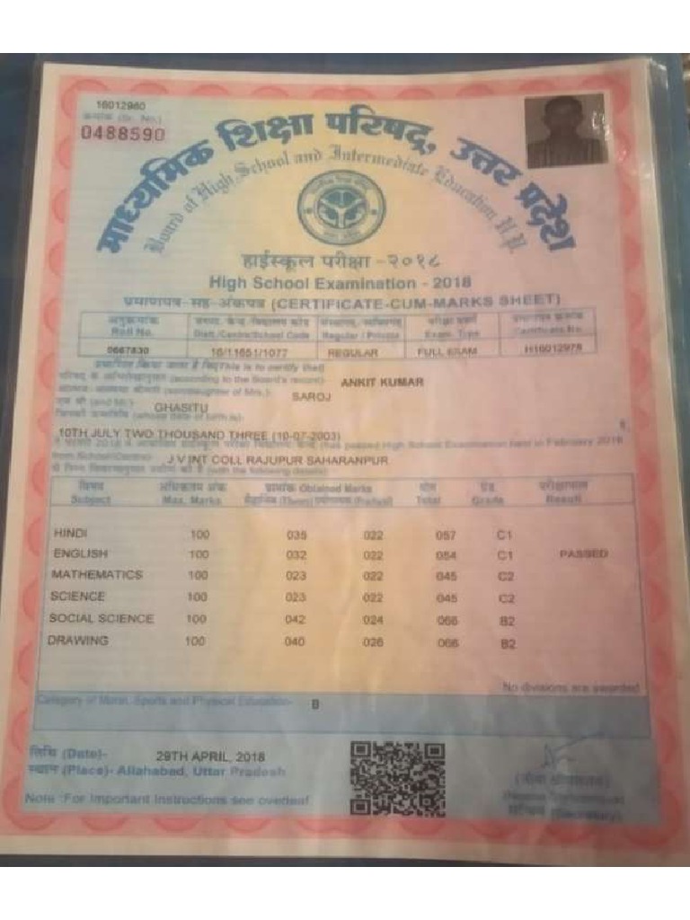 10 TH Marksheet - Ankit | PDF