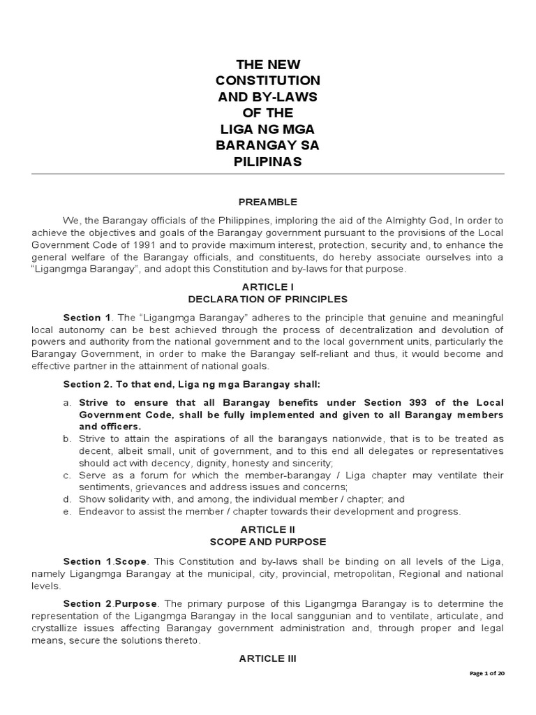 LnB Constitution and ByLaws | PDF | Board Of Directors | Vice President ...