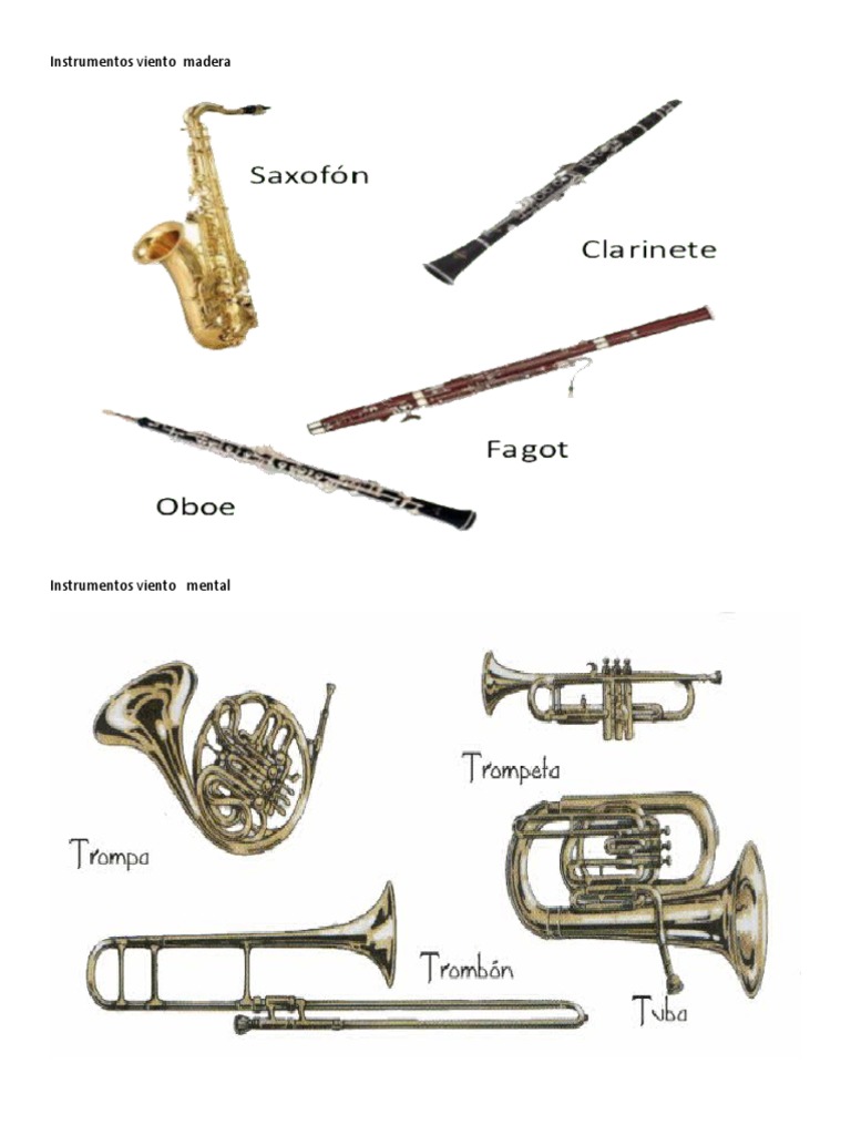 Instrumentos Viento Madera | PDF
