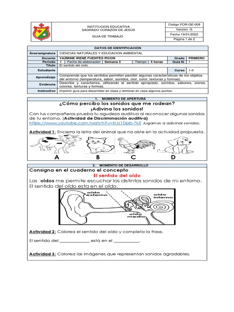 El sentido del oído en primer grado | PDF | Ciencia cognitiva | Cognición