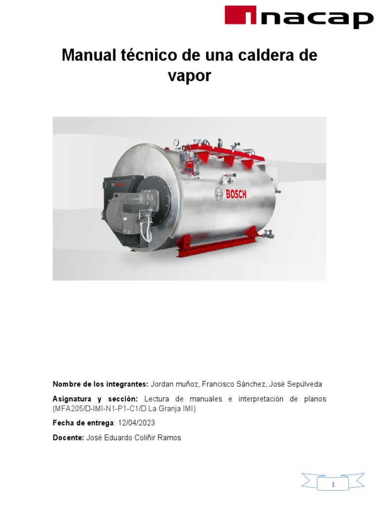 Manual Técnico de Una Caldera de Vapor | PDF | Combustibles