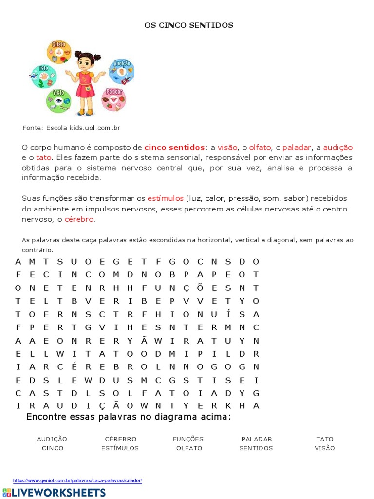 Visão Olfato Paladar Audição Tato: Os Cinco Sentidos | PDF