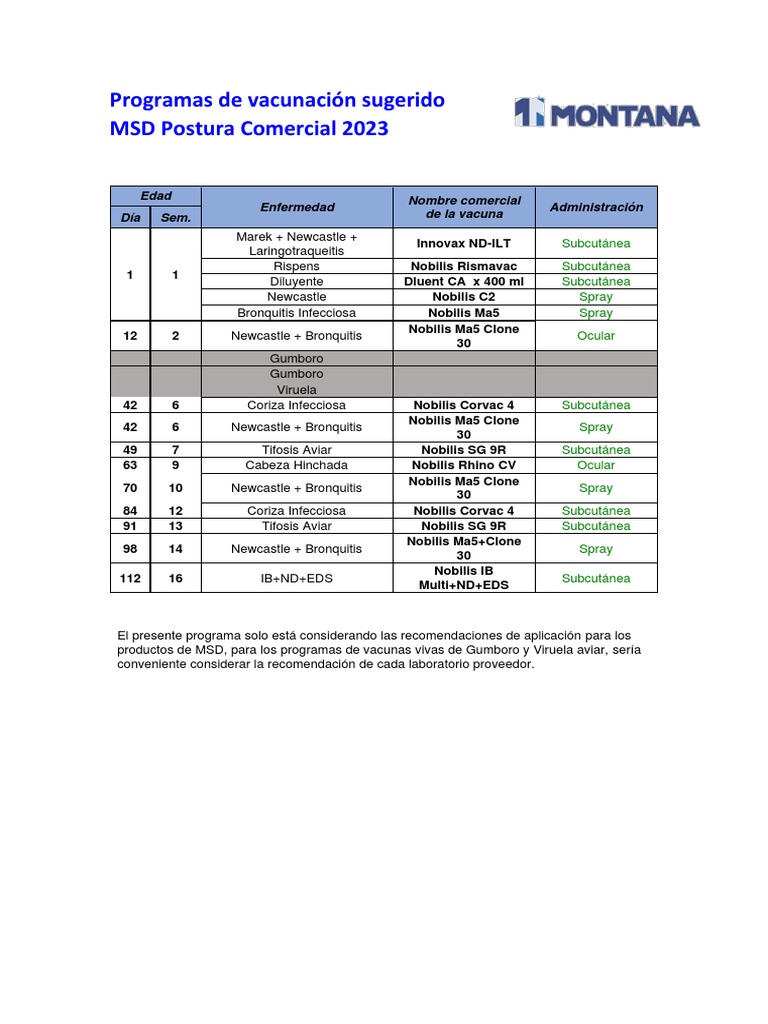 Programas de Vacunación Sugerido MSD Postura Comercial 2023 | PDF | Salud pública | Salud infantil
