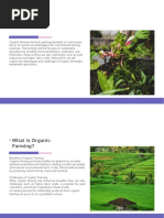 Advantages and Disadvantages of Organic Farming | PDF
