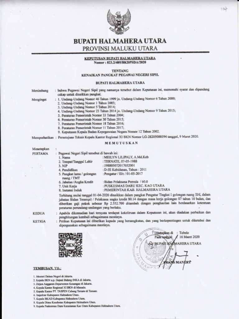 SKT IID Meilyn Lilipaly | PDF