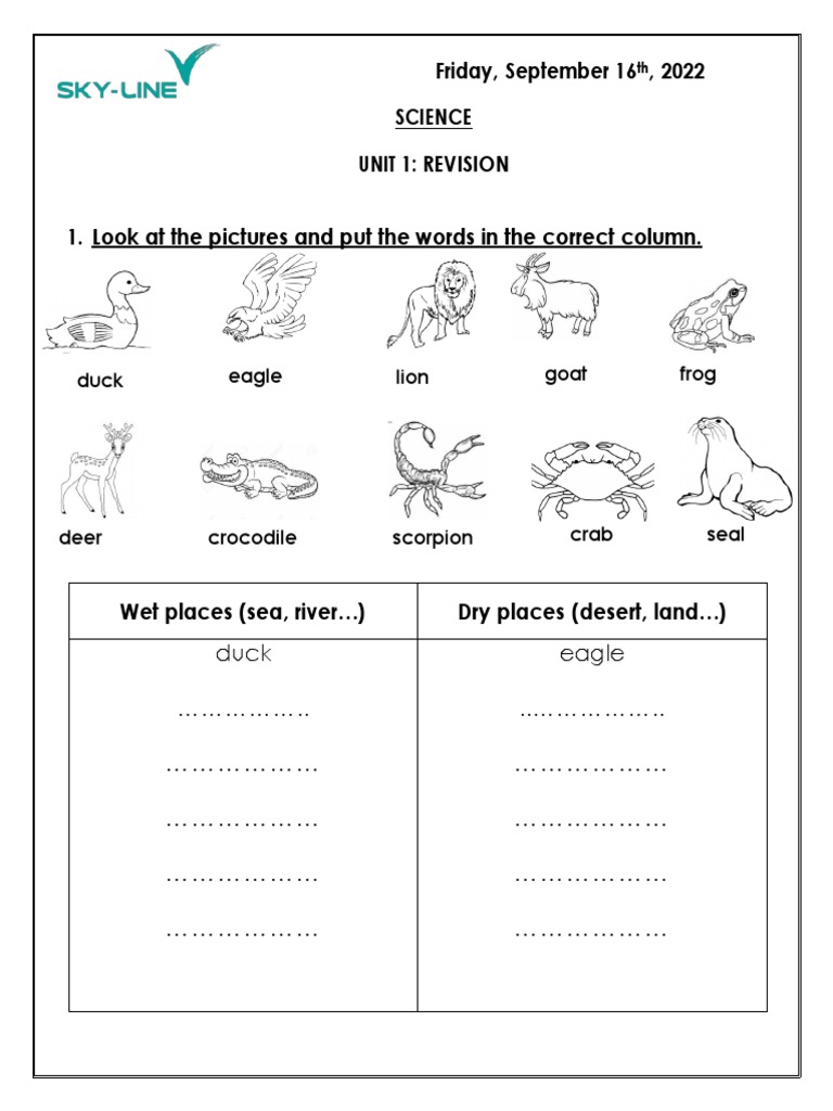 Review Unit 1 - Grade 1 - Science | PDF