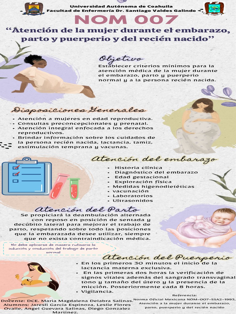 Atención Integral Materna y Neonatal | PDF | Parto | El embarazo