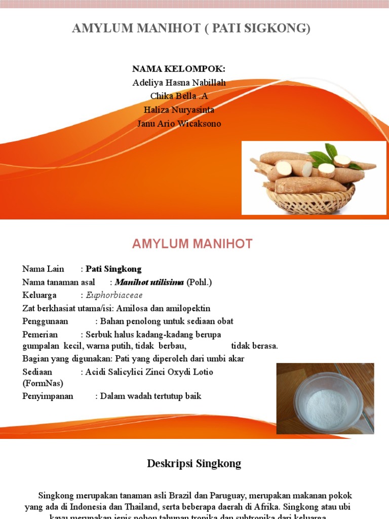 Amylum Manihot | PDF