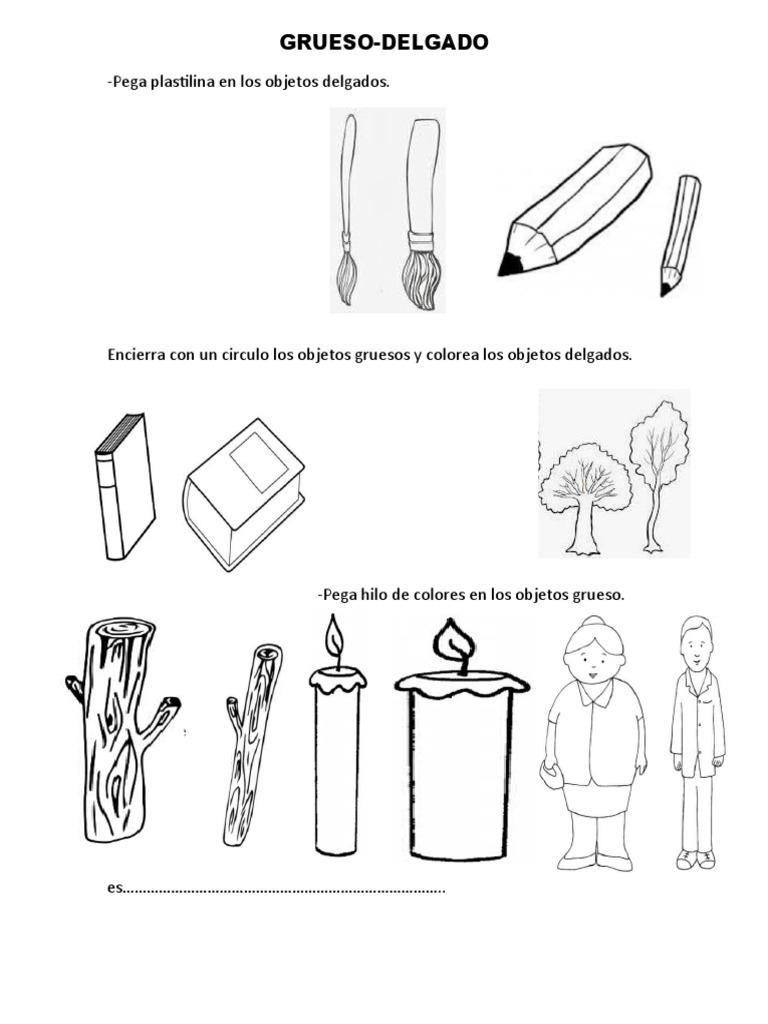 Grueso Delgado | PDF | Hogar, jardinería y bricolaje