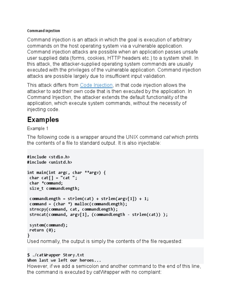 Command Inj Overflow | PDF | Parameter (Computer Programming) | Programming