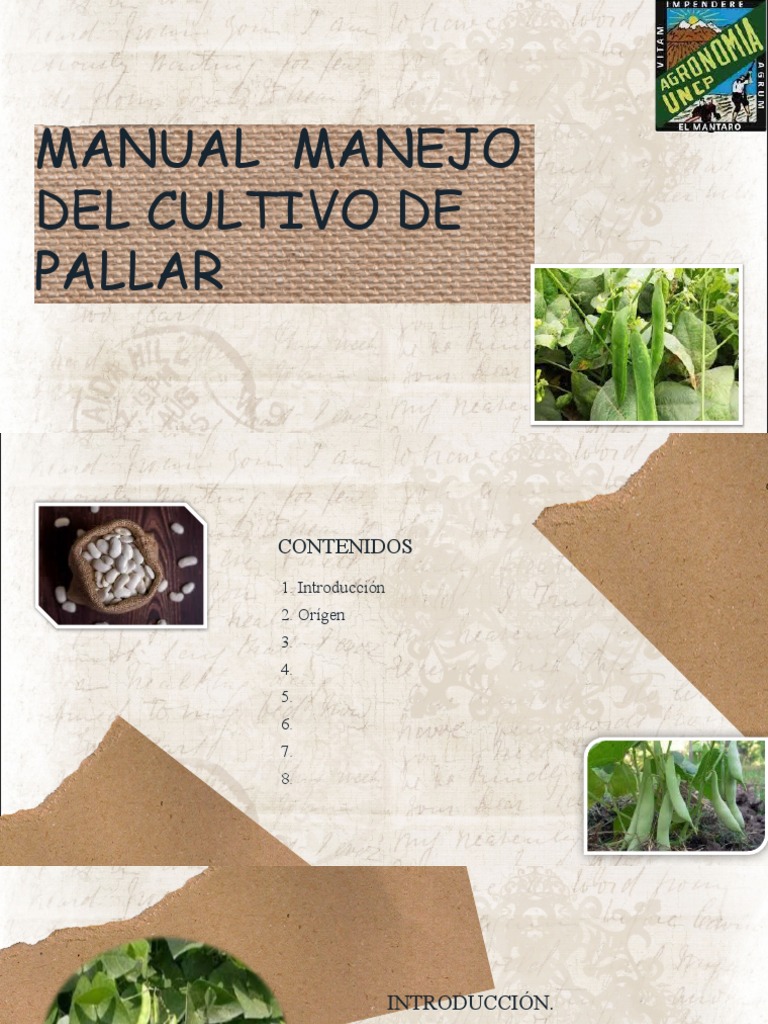 Manual Manejo Del Cultivo de Pallar | PDF | Marketing