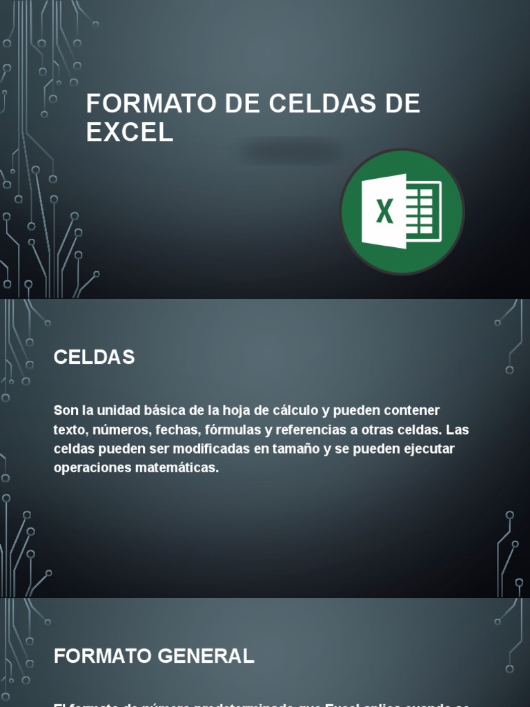 Formatos de Celdas en Excel: Guía Completa | PDF | Microsoft Excel | Hoja de cálculo