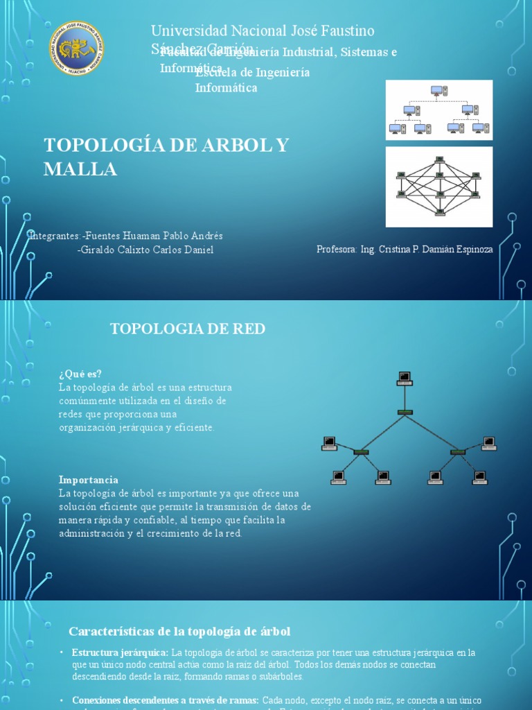 Topologías de Red: Árbol y Malla | PDF | Topología de la red | Red de ...