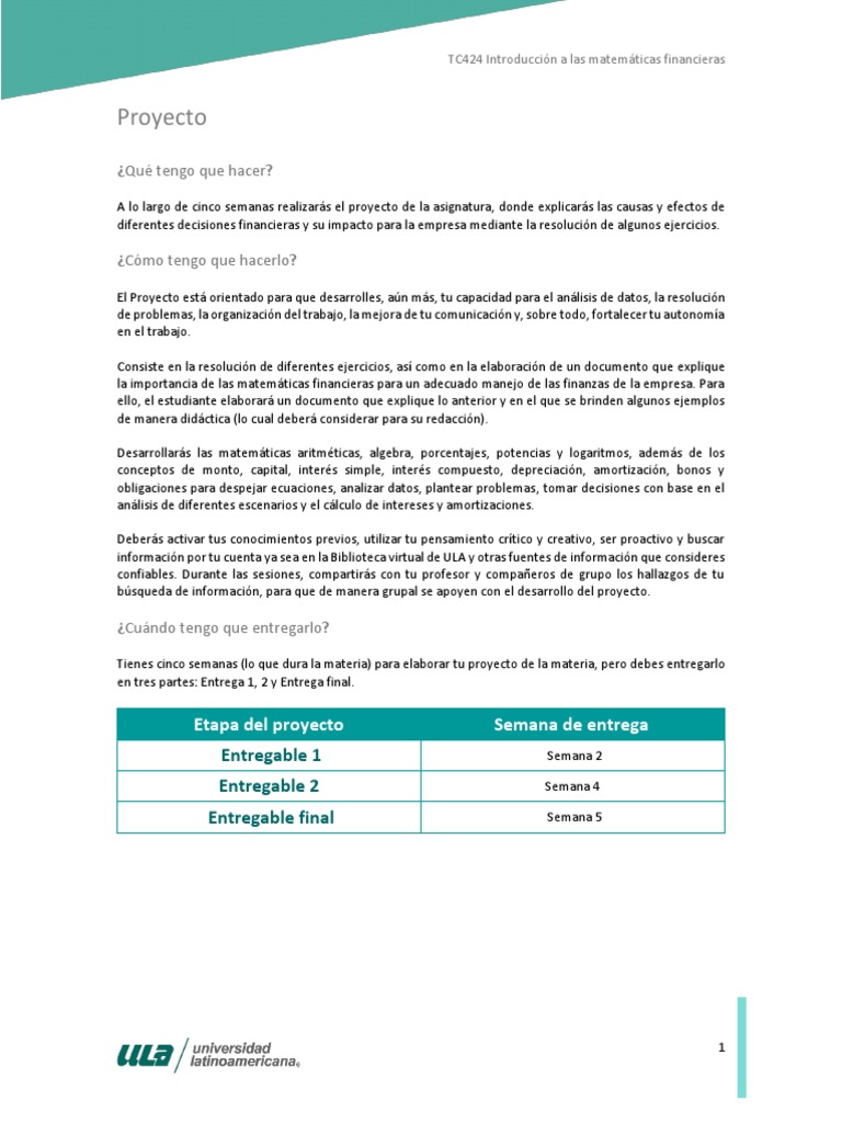 TC424 - Documento Proyecto | PDF | Depreciación | Información