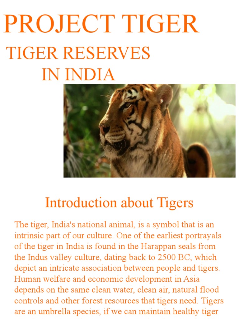 PPT on Project Tiger.9078470.Powerpoint | PDF