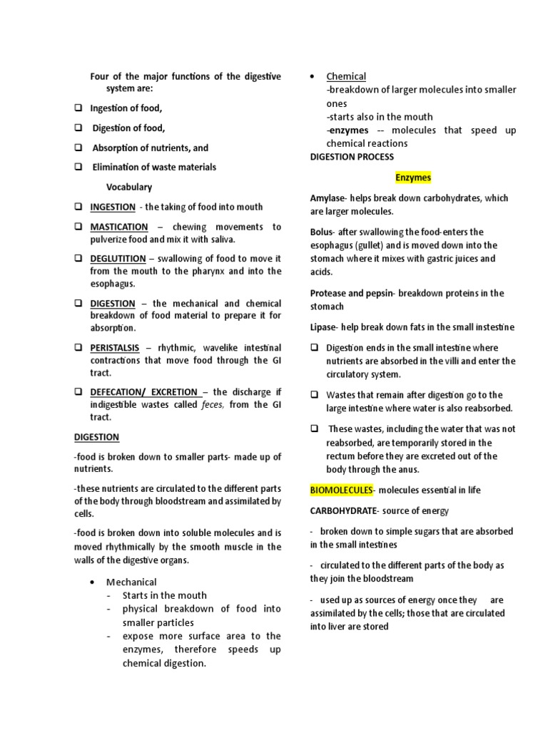 Digestive System Functions and Processes | PDF | Digestion | Human ...