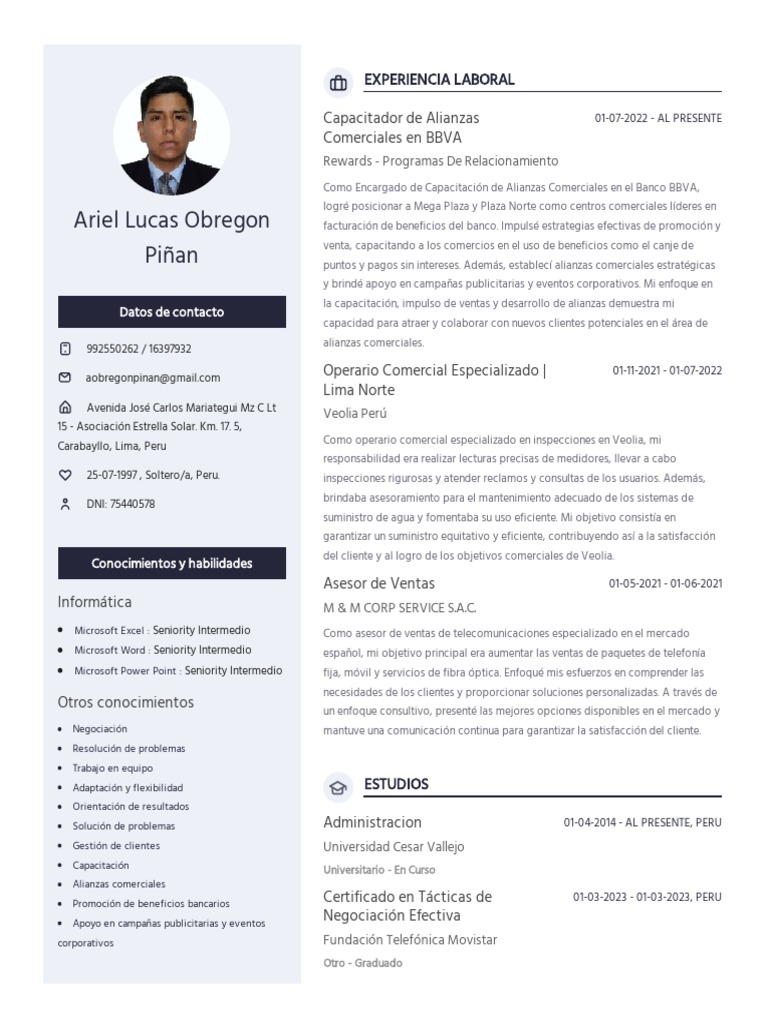 CV Ariel Obregon | PDF