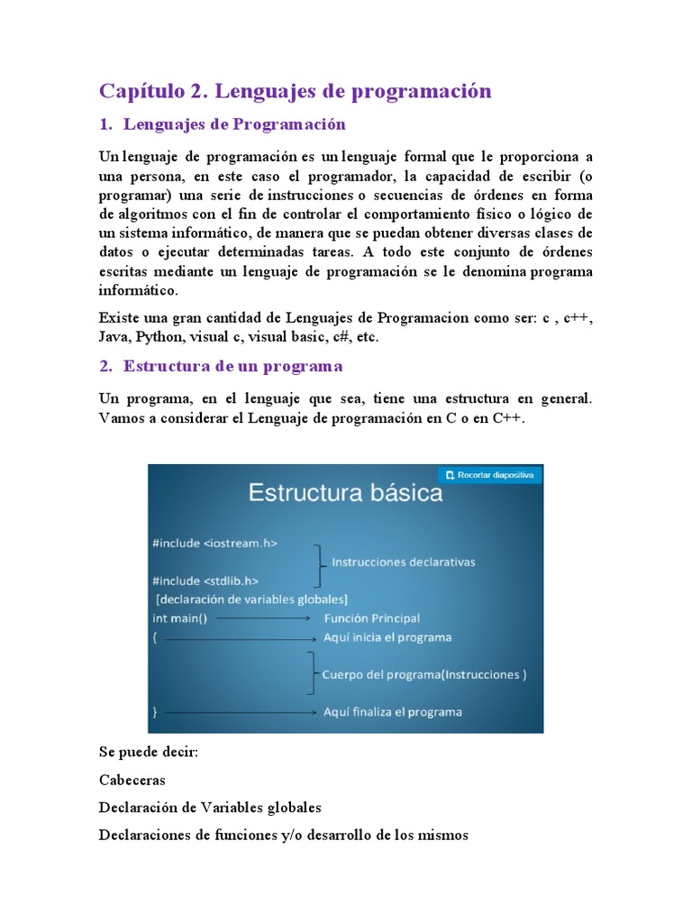 Lenguajes de Programacion | PDF | Lenguaje de programación | Programa de computadora