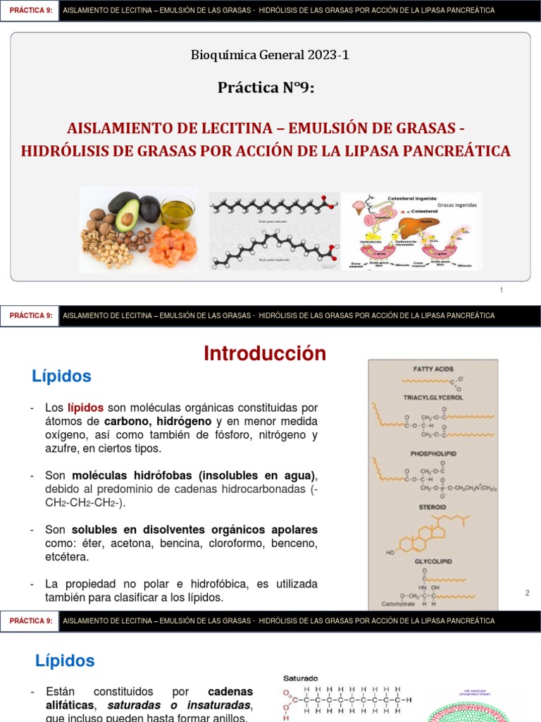 2023-1 PPT Practica 9 Aislam lecitina - Lipidos | PDF | Lípido ...