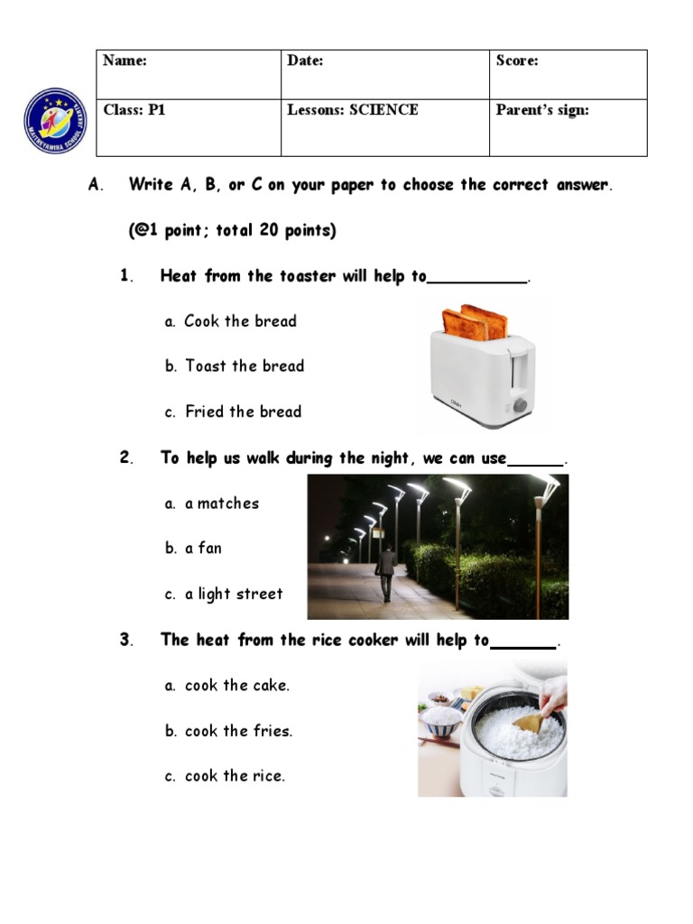 P1 Science TERM 4 | PDF