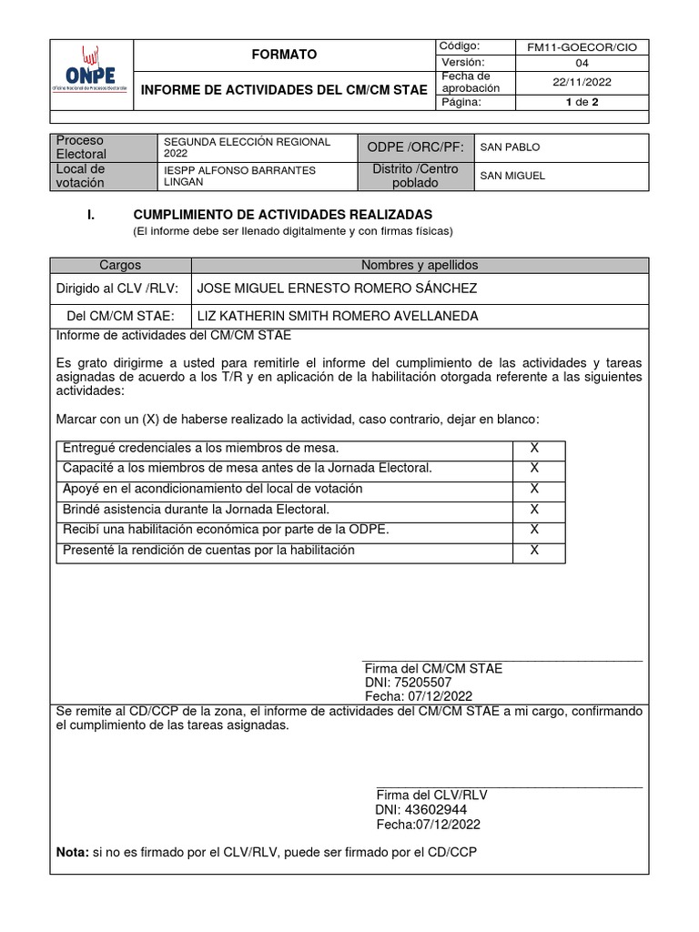 Fm11 Liz Romero | PDF | Gobierno | Elecciones