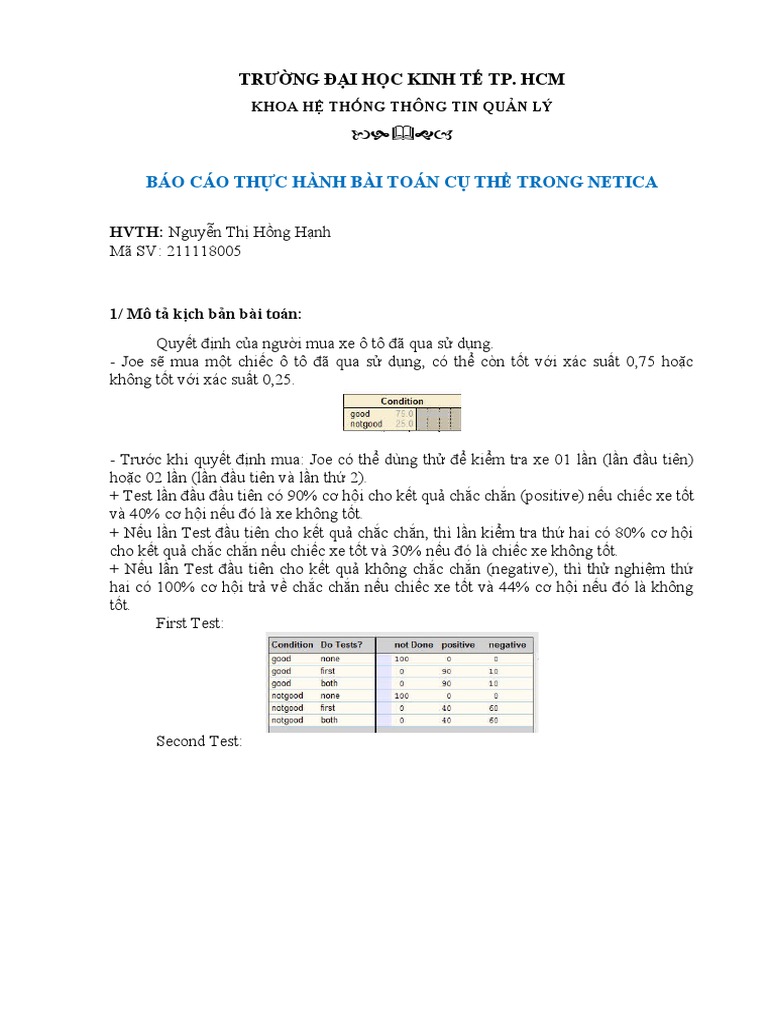 Sample-Netica (1) | PDF