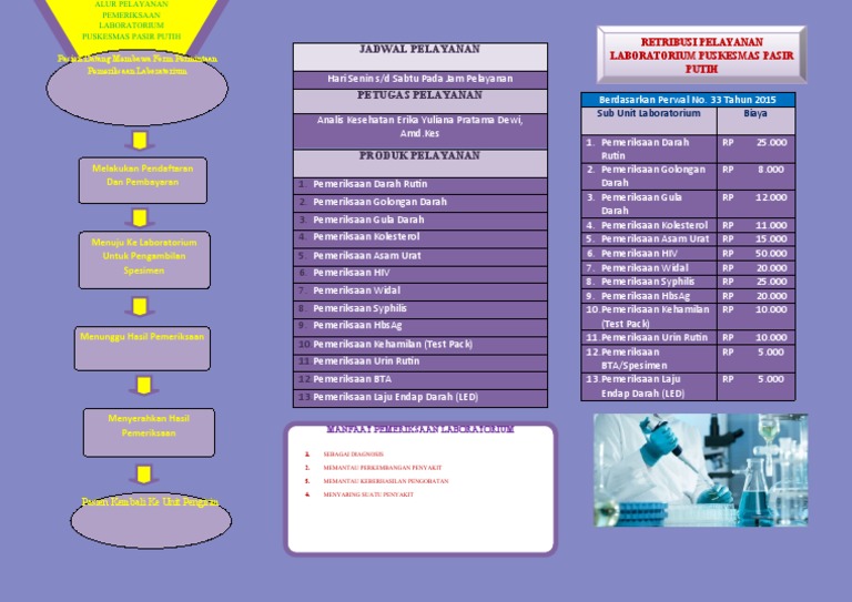 8.1.1.1. Leaflet Lab | PDF | Sains & Matematika