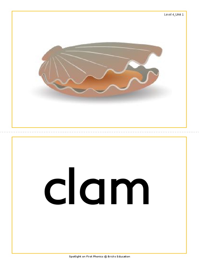 Spotlight On First Phonics 4 Flash Card | PDF