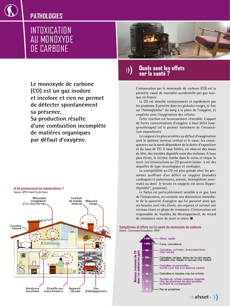 08 Intoxication Monoxyde Carbone | PDF | Monoxyde de carbone | Dioxyde ...